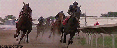 Racing GIFs - Get the best gif on GIFER