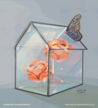 Untouchable GIFs - Get the best gif on GIFER