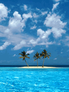 Insel GIFs - Get the best gif on GIFER