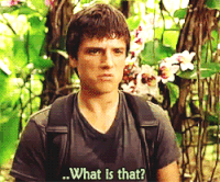 Guzman GIFs - Get the best gif on GIFER