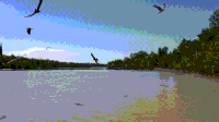 Midair GIFs - Get the best gif on GIFER