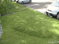 Sod GIFs - Obtenez le meilleur gif sur GIFER