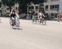 Ffs GIFs - Get the best gif on GIFER