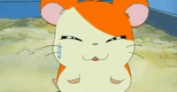 Hamtaro GIFs - Get the best gif on GIFER