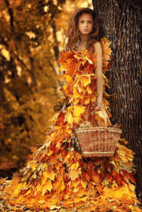 Autumn GIFs - Get the best gif on GIFER