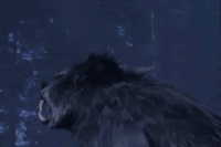 Werewolves GIFs - Get the best gif on GIFER