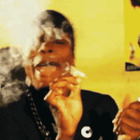 Marijuana GIFs - Get the best gif on GIFER