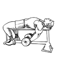 Bicep GIFs - Get the best gif on GIFER