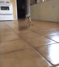 Cues GIFs - Get the best gif on GIFER