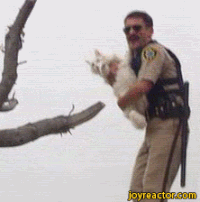 911 GIFs - Get the best gif on GIFER