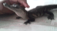 Yesssss GIFs - Get the best gif on GIFER