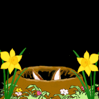 Easter GIFs - Get the best gif on GIFER