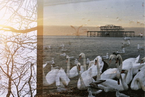 Analogue GIFs - Get the best gif on GIFER