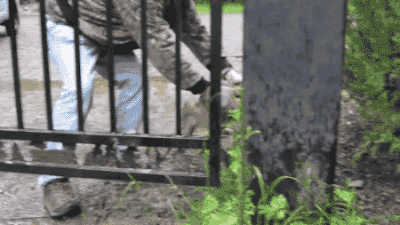 Railings GIF - Conseguir o melhor gif em GIFER