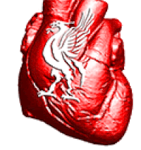 Lfc GIFs - Get the best gif on GIFER