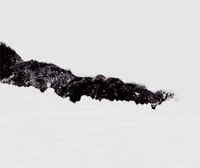 Ta GIFs - Get the best gif on GIFER