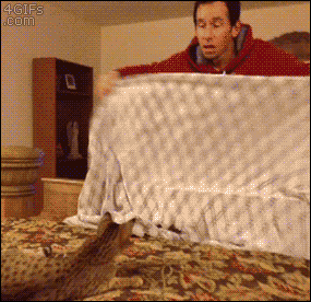 Dissapear GIFs - Get the best gif on GIFER
