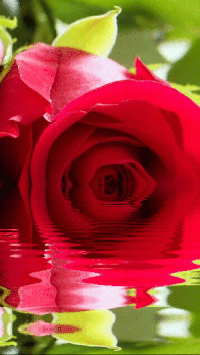 Perfecto GIFs - Get the best gif on GIFER