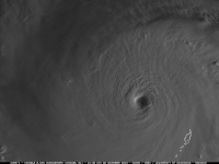 Typhoons GIFs - Get the best gif on GIFER