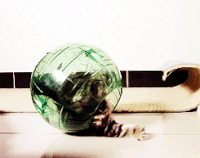 Stuck GIFs - Get the best gif on GIFER