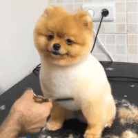 Sublime GIFs - Get the best gif on GIFER