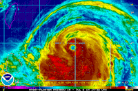 Tropics GIFs - Get the best gif on GIFER