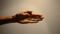 Open hand GIF - Conseguir o melhor gif em GIFER