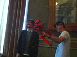 Uncontrollably GIFs - Get the best gif on GIFER