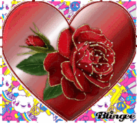 Rosa GIFs - Get the best gif on GIFER