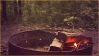 Campfire GIFs - Get the best gif on GIFER