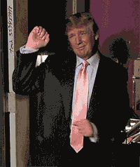Ludicrous GIFs - Get the best gif on GIFER