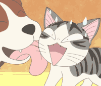 Chi GIFs - Get the best gif on GIFER