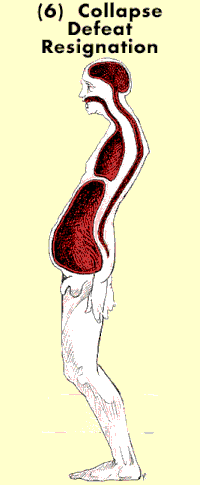 Continuum GIFs - Get the best gif on GIFER