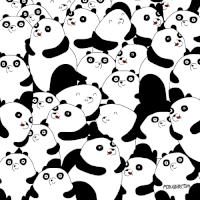 Badgers GIFs - Get the best gif on GIFER