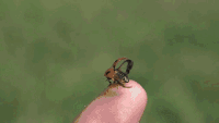 Deployment GIFs - Get the best gif on GIFER