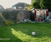 Dang GIFs - Get the best gif on GIFER