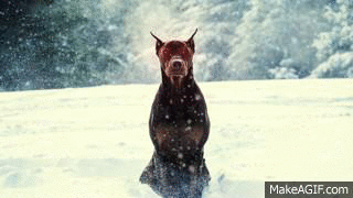 Notch GIFs - Get the best gif on GIFER