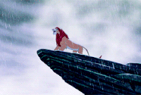 Simba GIFs - Get the best gif on GIFER