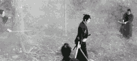 Finish GIFs - Get the best gif on GIFER