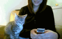 Lado GIFs - Get the best gif on GIFER