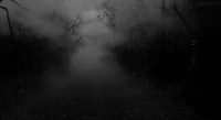 Haunted GIFs - Get the best gif on GIFER