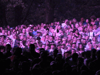 Phish GIFs - Get the best gif on GIFER