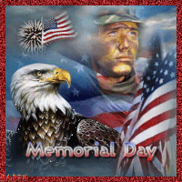 Adler GIFs - Get the best gif on GIFER