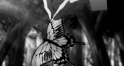 Placemat GIFs - Get the best gif on GIFER