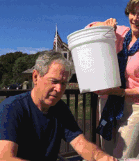 Bucket GIFs - Get the best gif on GIFER
