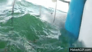 Spoofs гифки, анимированные GIF изображения spoofs - скачать гиф ...