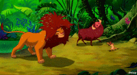 Timon and pumba GIF - Conseguir o melhor gif em GIFER