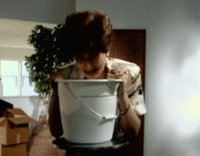 Upright GIFs - Get the best gif on GIFER