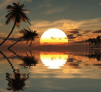 Free GIFs - Get the best gif on GIFER