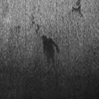 Horror GIFs - Get the best gif on GIFER